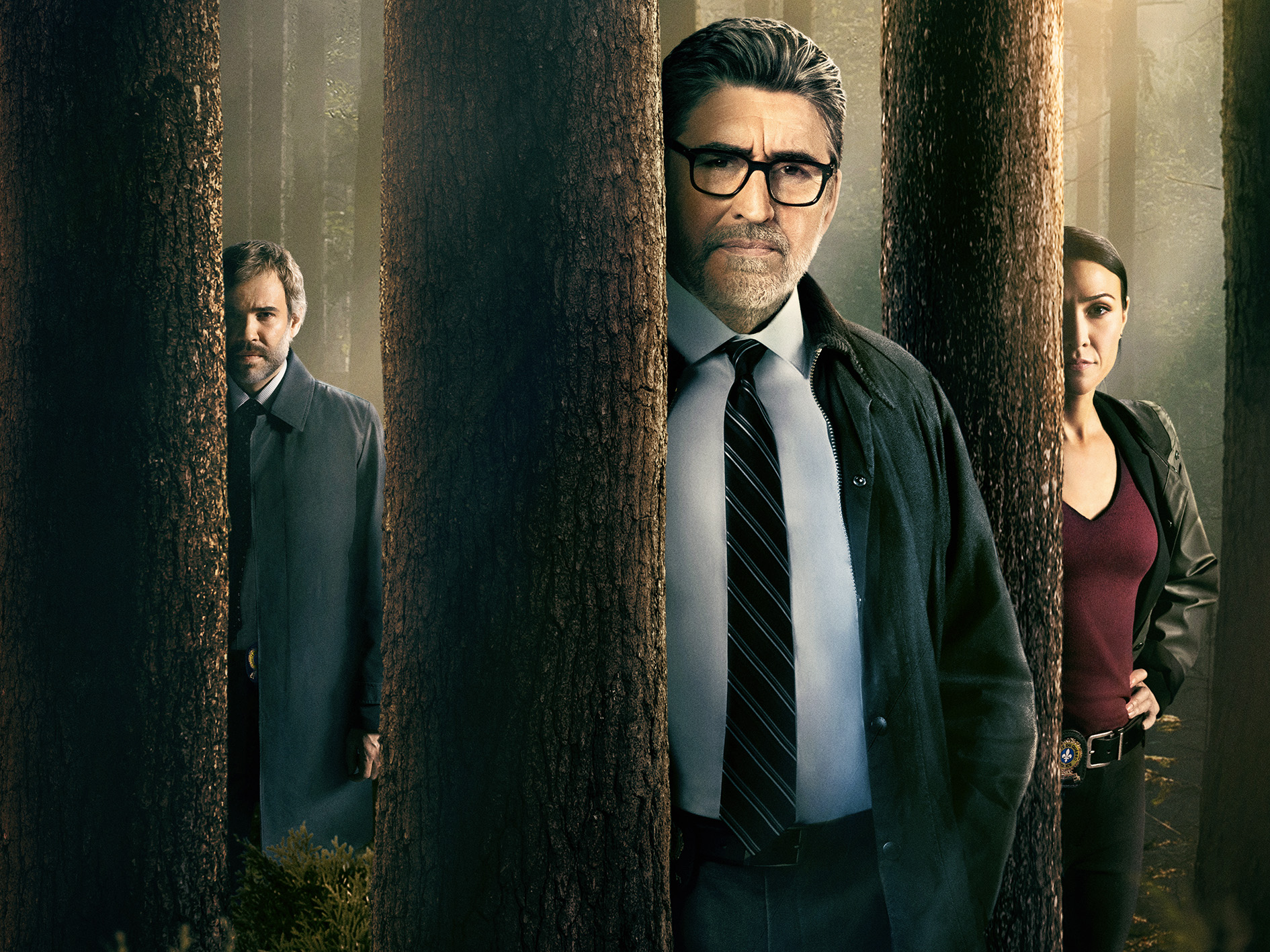 Il commissario Gamache: un detective inglese in una cittadina canadese ...